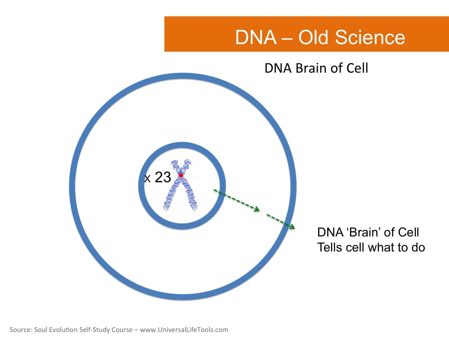 Article 4: Quantum DNA Activation & Attunement - Simone M. Matthews ...