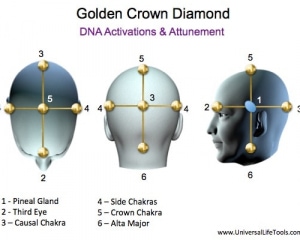 Article 1 - Awakening your Pineal Gland - Simone M. Matthews ...