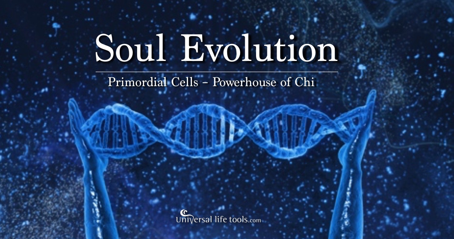 Article 2 - Primordial Cells - Powerhouse of Qi - Simone M. Matthews ...
