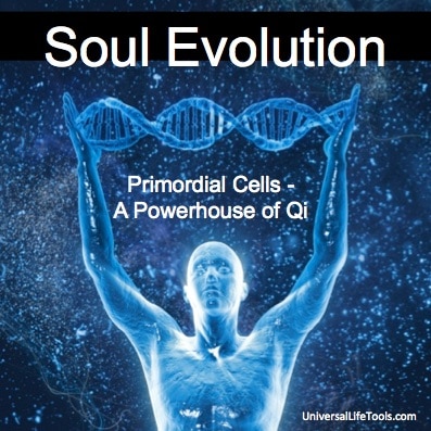Article 2 - Primordial Cells - Powerhouse of Qi - Simone M. Matthews ...