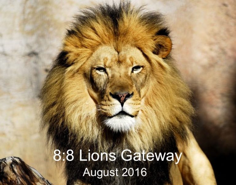 8-8 Lions Gateway - Simone M. Matthews - Universal Life Tools