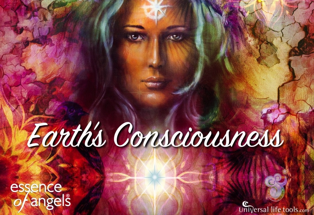 Essence of Angels® Vibrational Essences - Simone M. Matthews ...