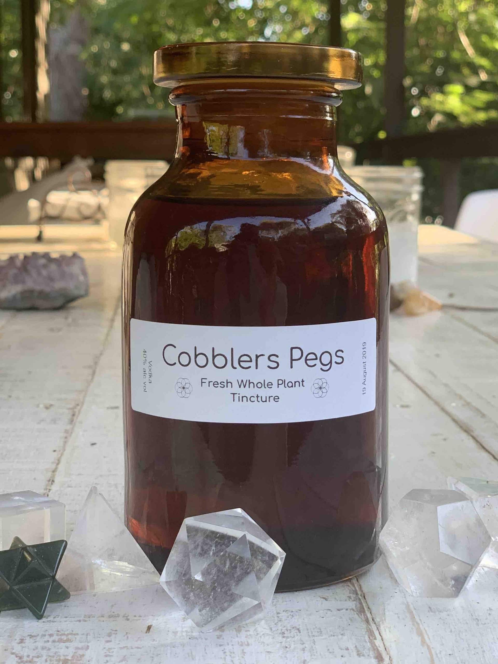 Cobblers Pegs Herbal Tincture - Plant Spirit Medicine