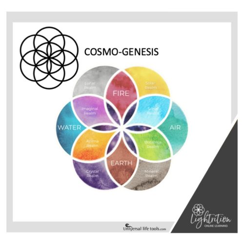 The HEART: It's not what you think it is!