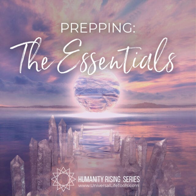 Prepping: The Essentials ONLINE Video Series + Resources