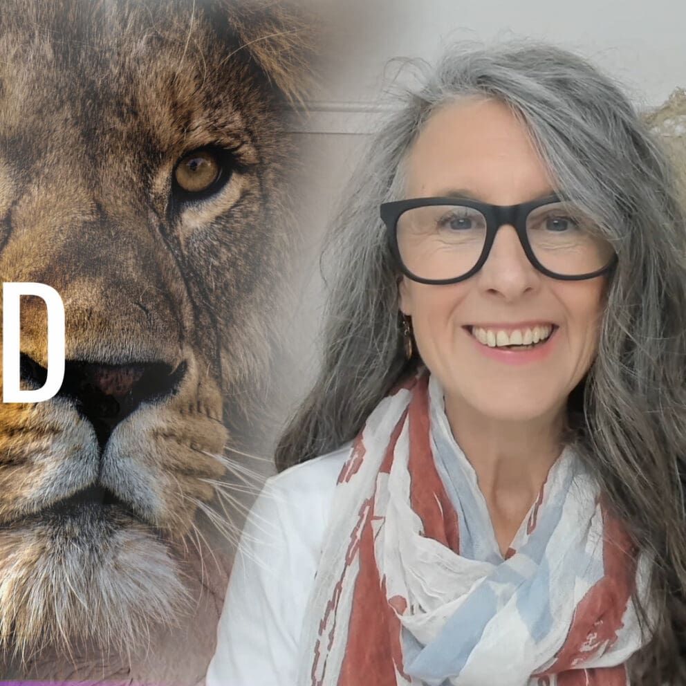 ALL VIDEOS with Simone - Simone M. Matthews - Universal Life Tools