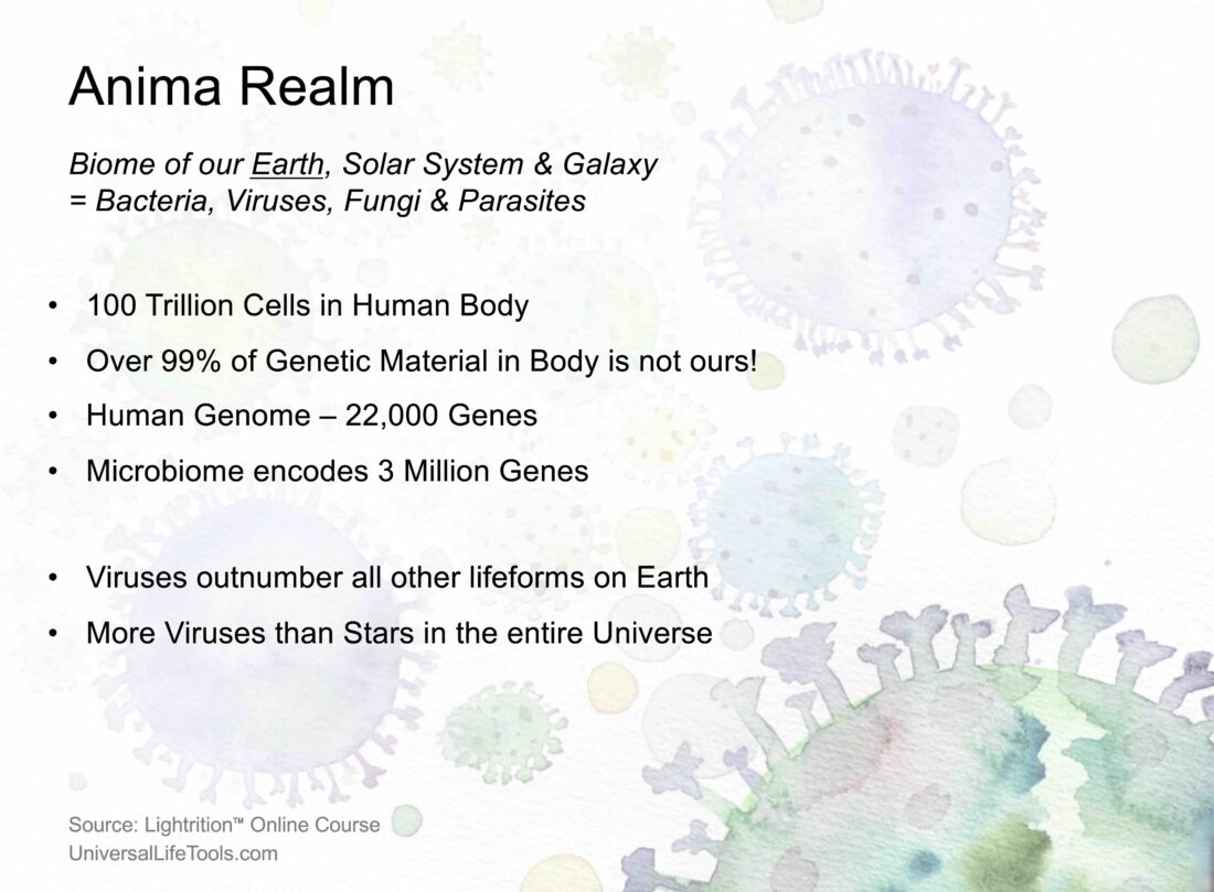 Unlocking the LIGHT of Humanity