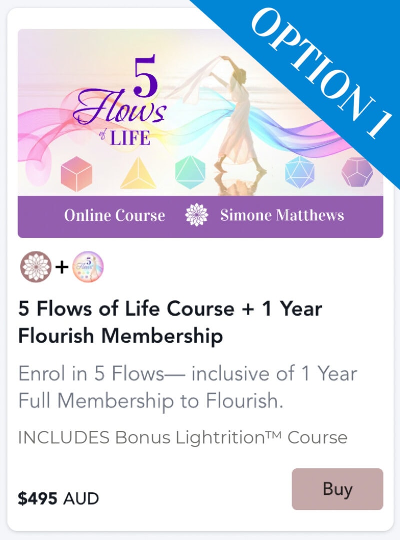 5 Flows - Online Learning