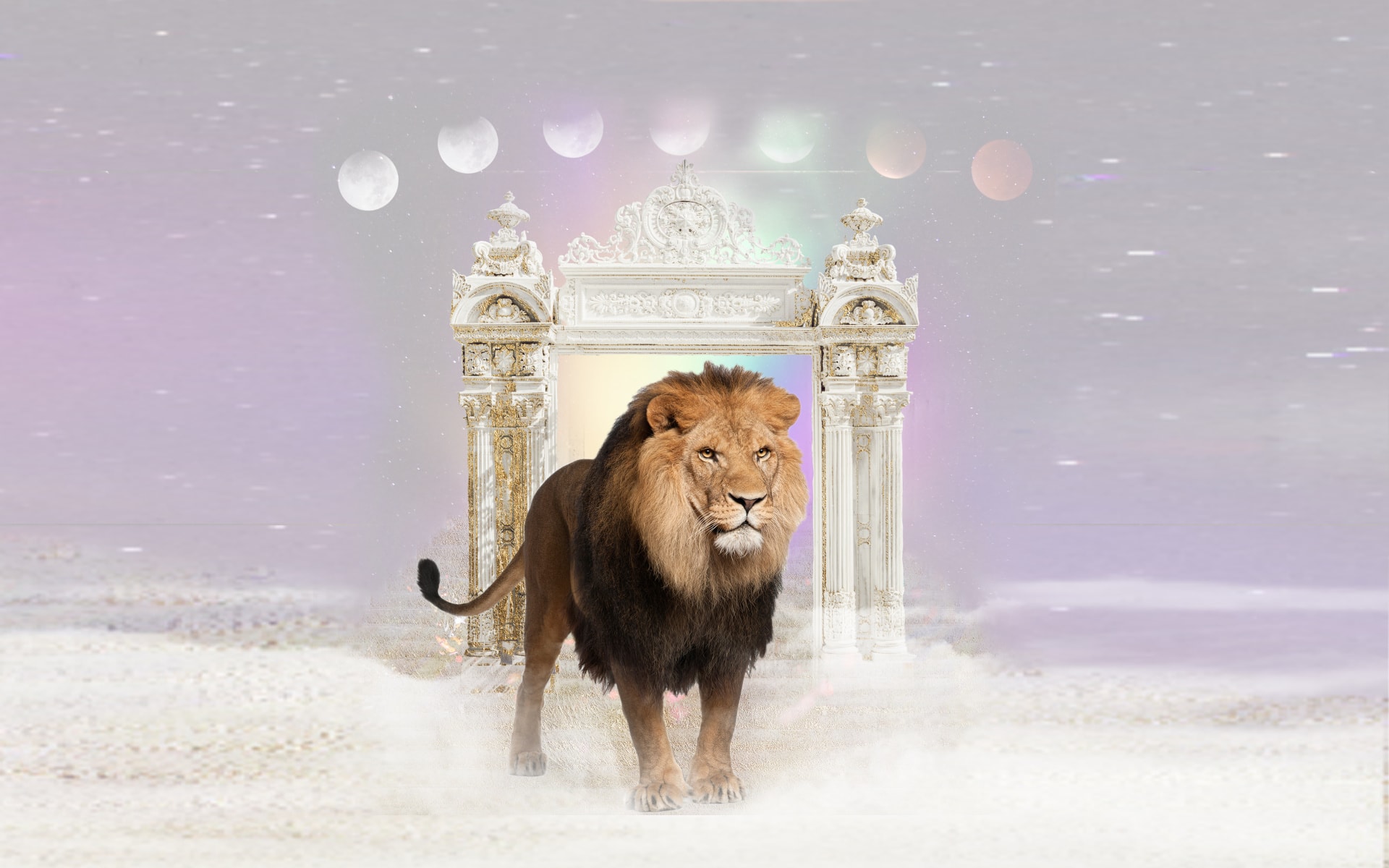 Leo New Moon - August 2023 - Fierce Grace