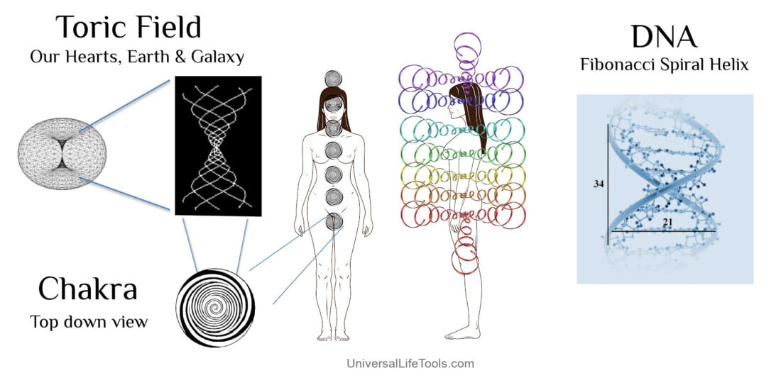 Numerology 2024 - Universal 8 Year - Cosmic Weaving
