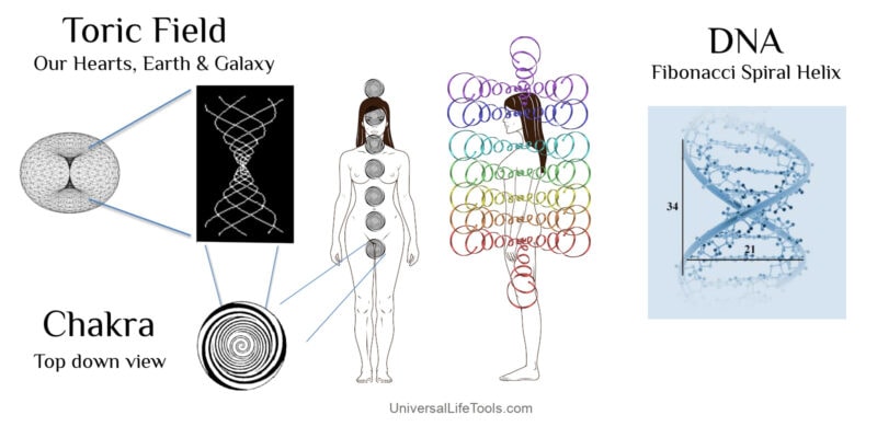 Numerology 2024 - Universal 8 Year - Cosmic Weaving