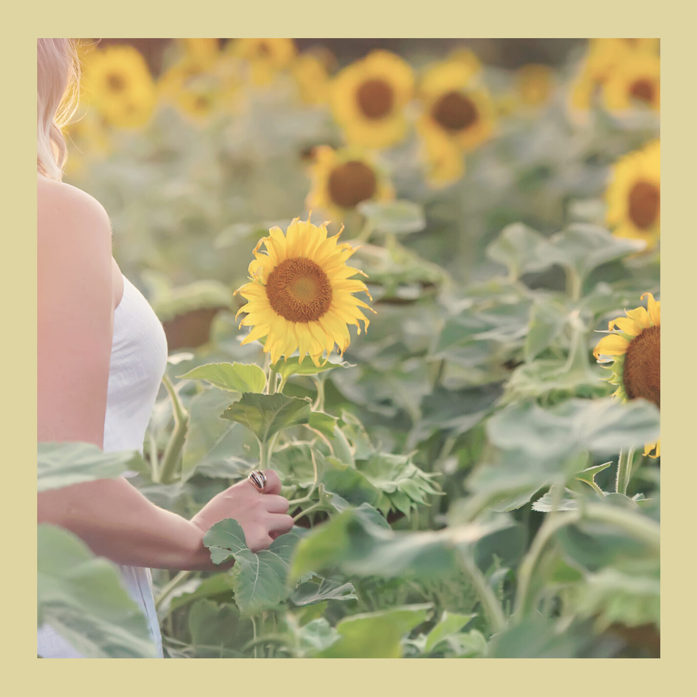 - Simone M. Matthews - Universal Life Tools